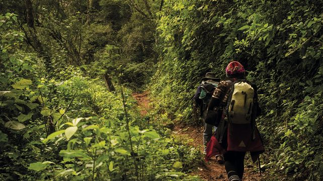 Yungas de Jujuy, espacio de contrastes y leyendas