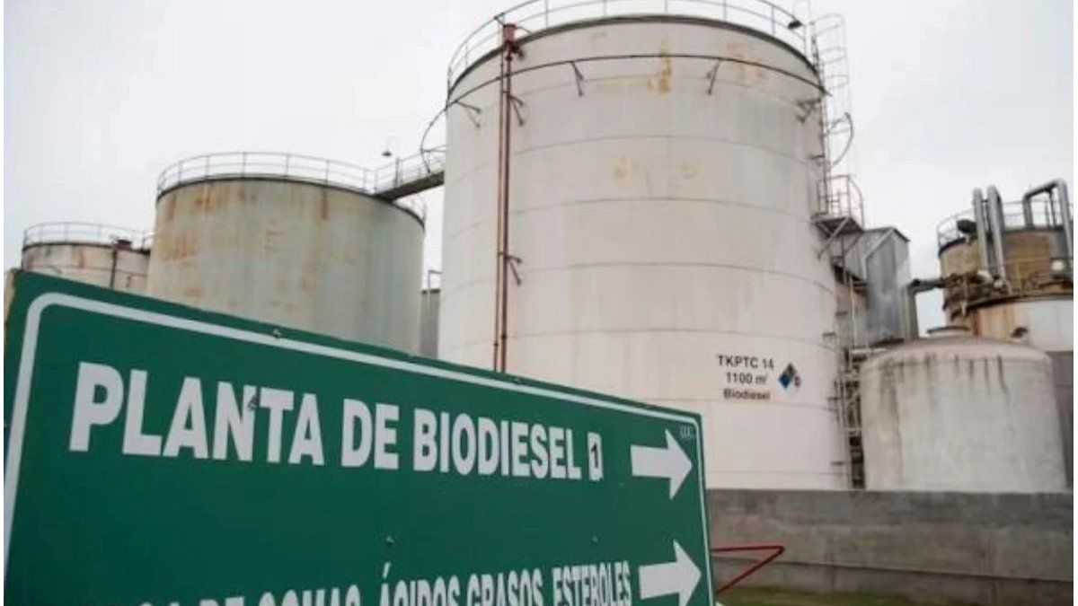 Pérdidas millonarias en la industria del biodiesel en Santa Fe: apuntan ...
