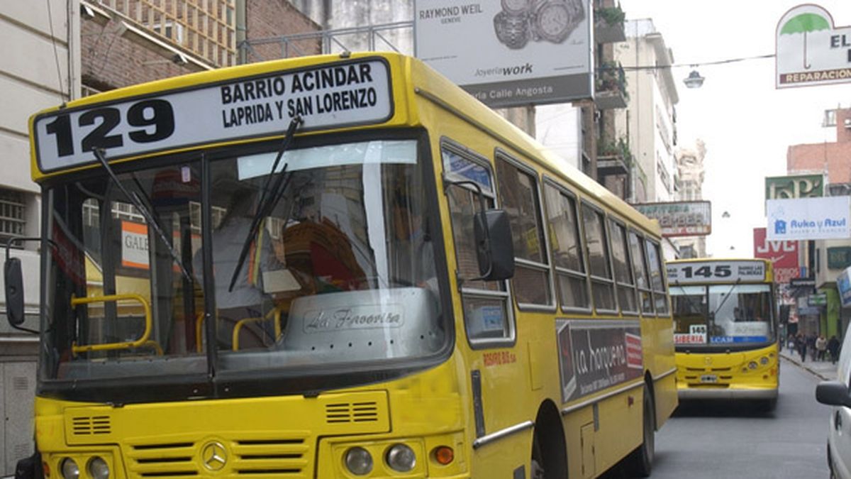 Transporte público: cuatro líneas cambian de recorridos a partir de ...