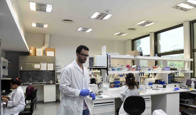 El Conicet es un sistema exigente y pionero, cuesta entender que se ...