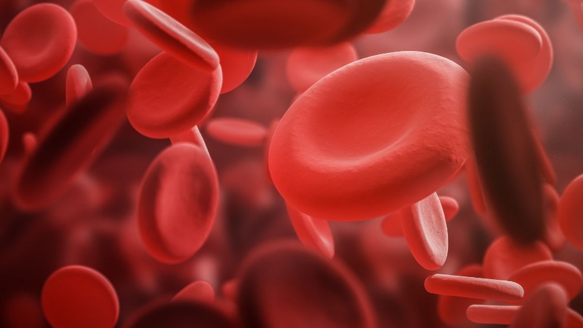 ¿Qué es la anemia y cuáles son las más frecuentes?