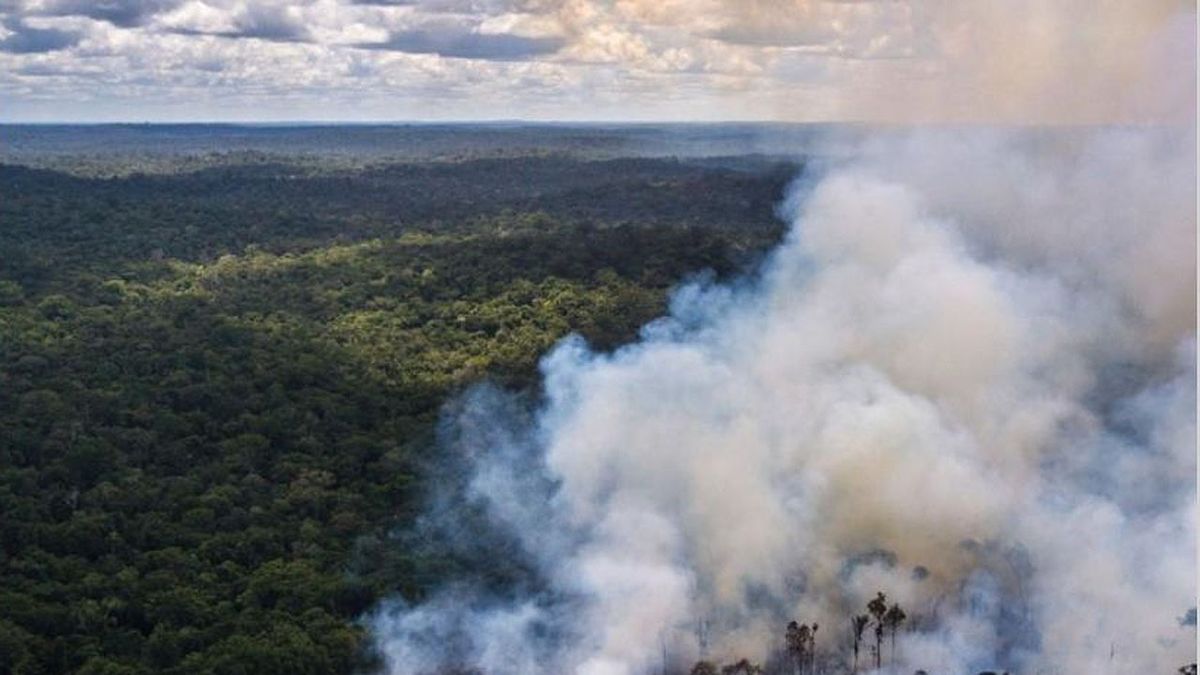 El humo del Amazonas llega a una gran parte del país