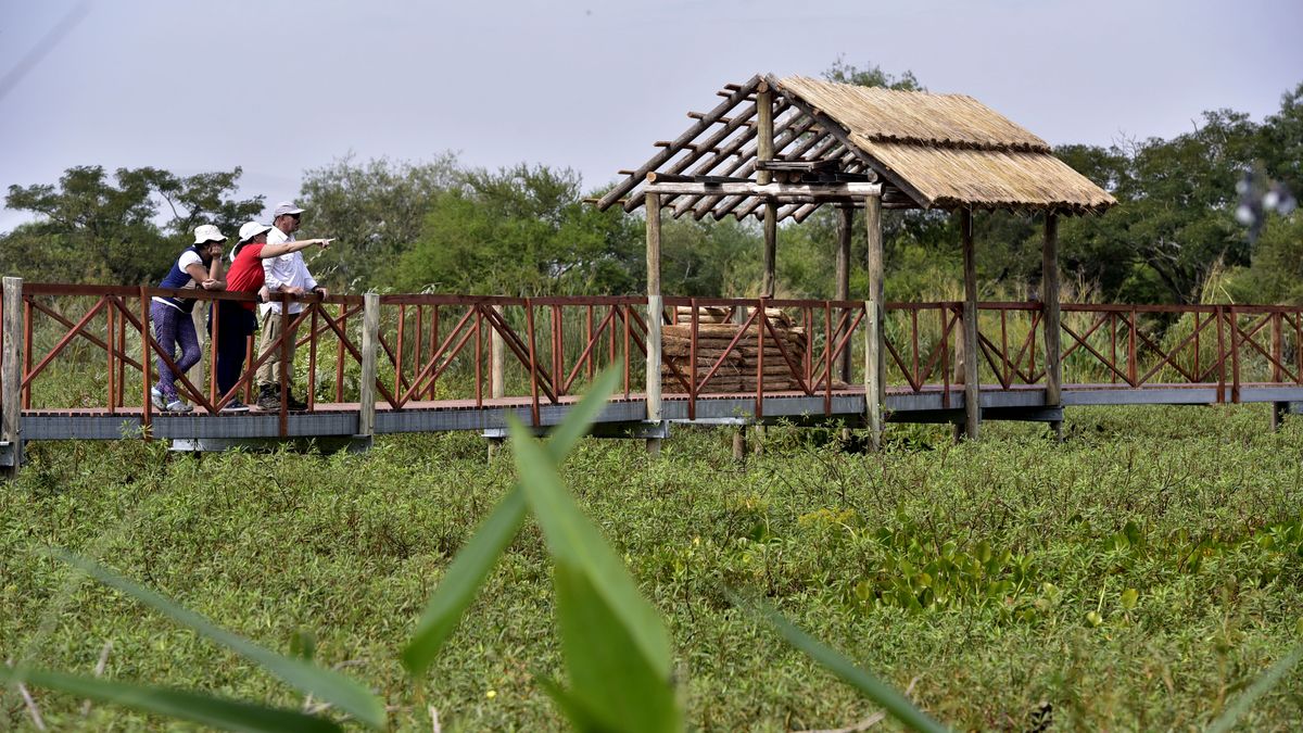 Legado Deliot: revés judicial definitivo para el empresario que le ...
