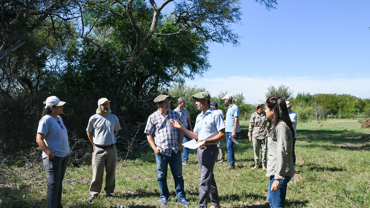 El gobierno provincial fortalece las acciones vinculadas a los Bosques ...