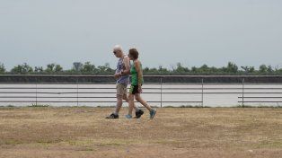 Jejenes: el insecto que se ríe del repelente y transforma el tiempo ...