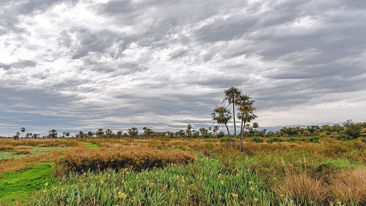 La ecorregión del Delta e Islas del Paraná dentro de los paisajes elegidos