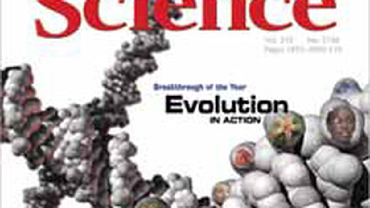 La revista Science definió los 10 hallazgos científicos más importantes ...