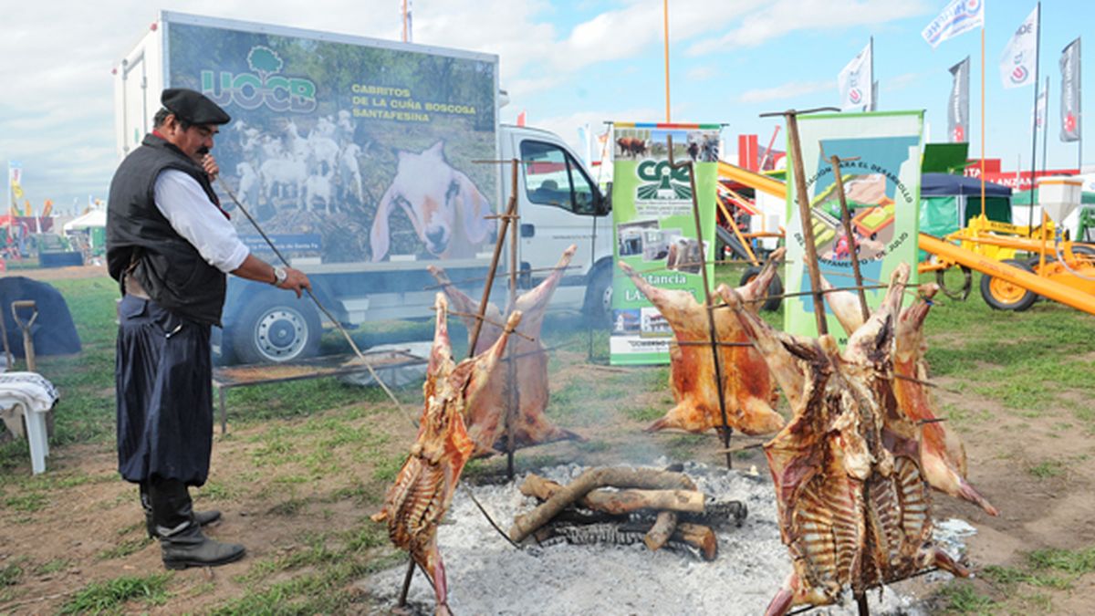 El cabrito de la cuña boscosa sale en busca de los consumidores