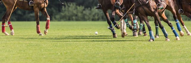 ¿Cuánto cuesta jugar al polo en Rosario?