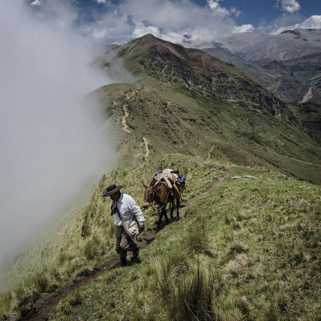 Yungas de Jujuy, espacio de contrastes y leyendas