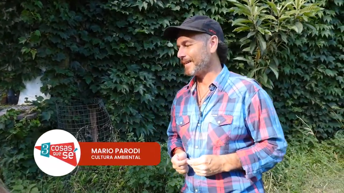 Respeto hasta las hormigas y eso también es Biodiversidad