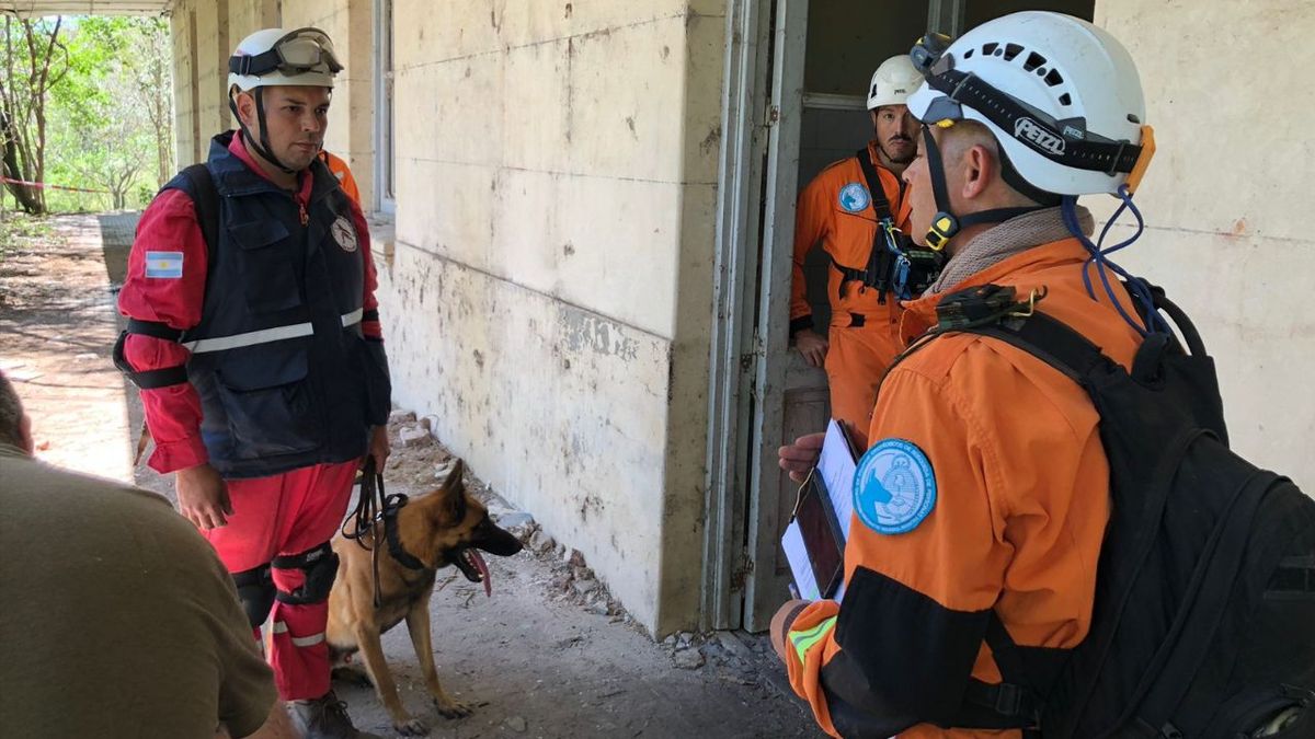 Fito, el perro de los Bomberos Voluntarios de Roldán ya es rescatista ...