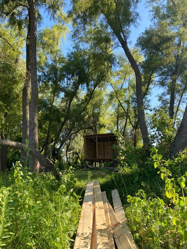 Isla de los Mástiles: un intento de ocupación ilegal enciende alarma ...