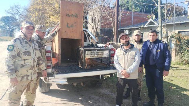 Bokep siskaeee update her personality is super likable,