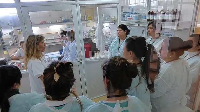 Habilitan de manera presencial las prácticas profesionalizantes de las ...