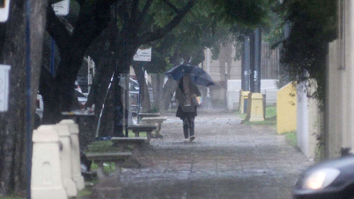¿Sabés cuál es la diferencia entre lluvia y llovizna?