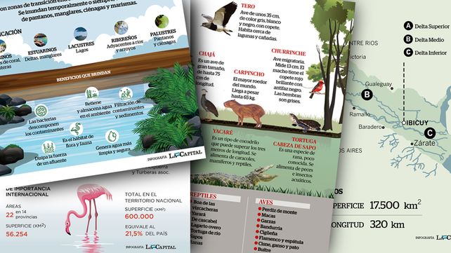 Humedales: algunos datos para conocerlos y entender su valor