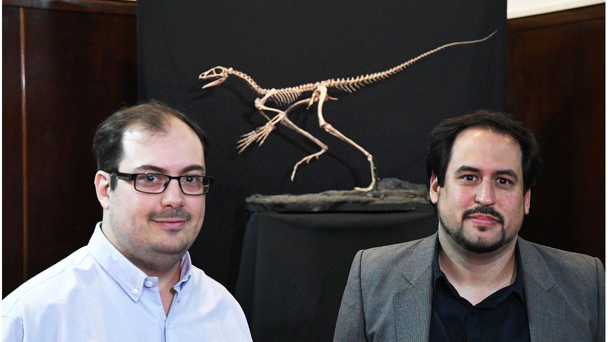 Científicos argentinos hallaron un Venetoraptor gassenae