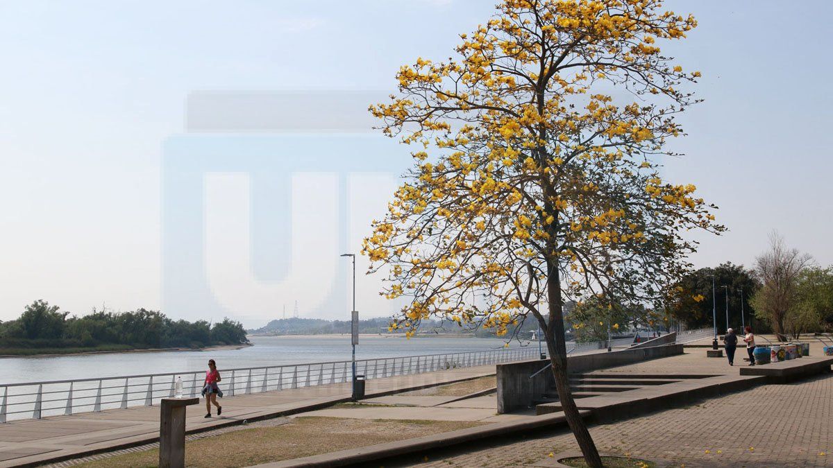 Entre Ríos: semana con temperaturas en ascenso y sin lluvias