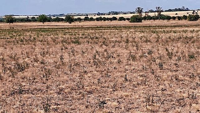 Este verano fue el tercero más seco de los últimos 60 años