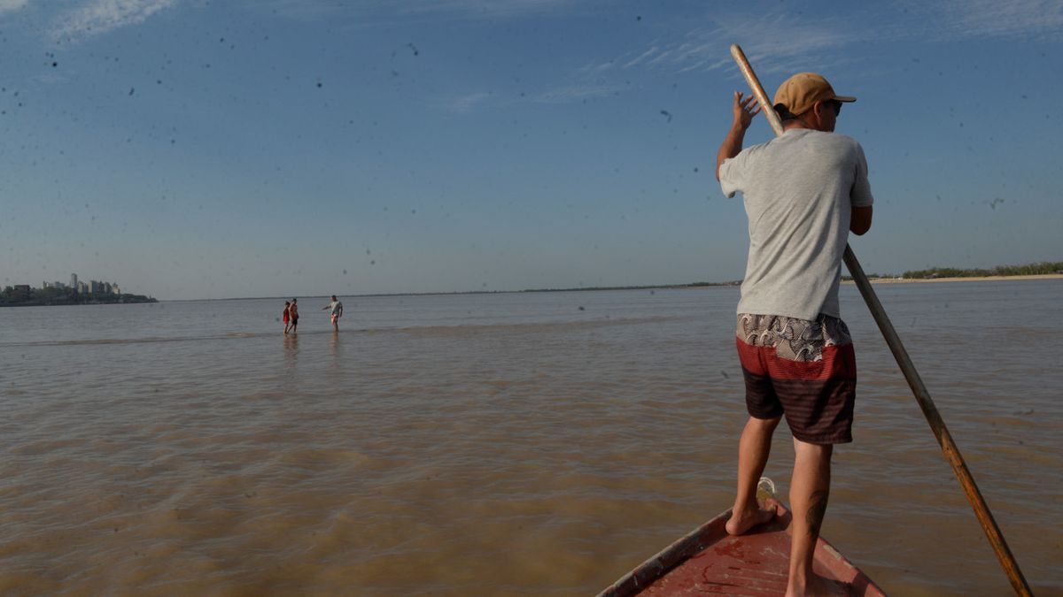 ¿Una futura isla? El Paraná está tan bajo que se puede caminar en el ...